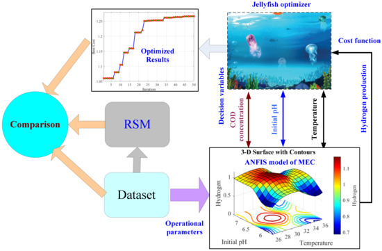Maximizing Bio-Hydrogen Production from an Innovative Microbial ...