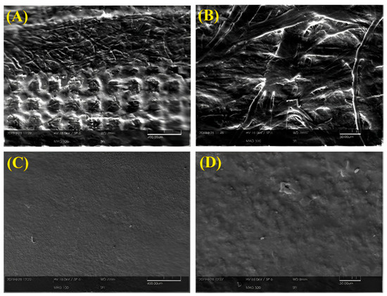 Sustainability | Free Full-Text | Polymer Banknotes: A Review of ...
