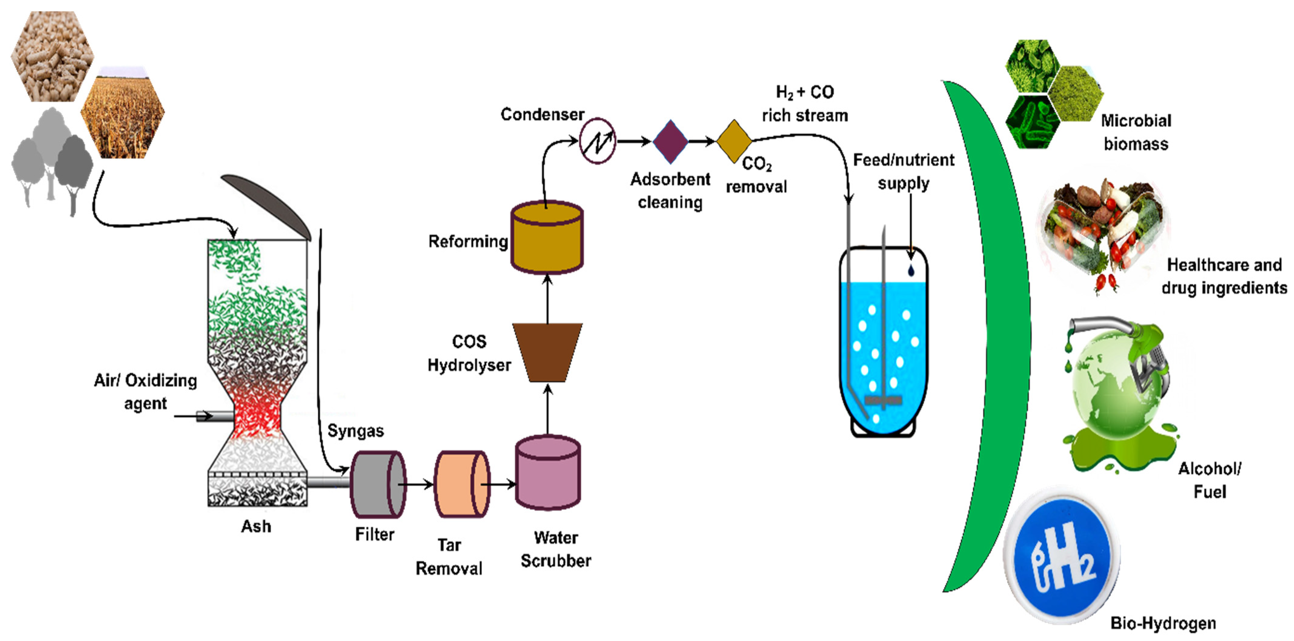 A Mini-Review on Syngas Fermentation to Bio-Alcohols: Current Status ...