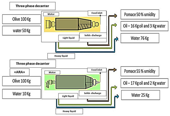 Comparison of Physicochemical Characteristics and Bioactivity of Olive ...