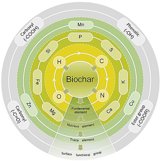 The Role of Modified Biochar for the Remediation of Coal Mining ...