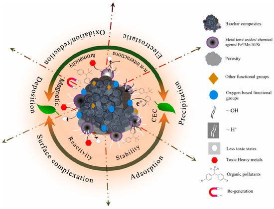 The Role of Modified Biochar for the Remediation of Coal Mining ...
