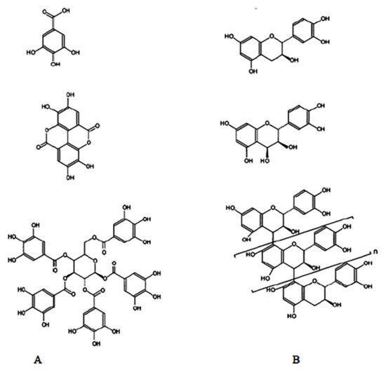 Additive Tannins in Ruminant Nutrition: An Alternative to Achieve ...