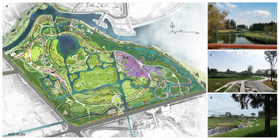 Comprehensive Case Study on the Ecologically Sustainable Design of ...