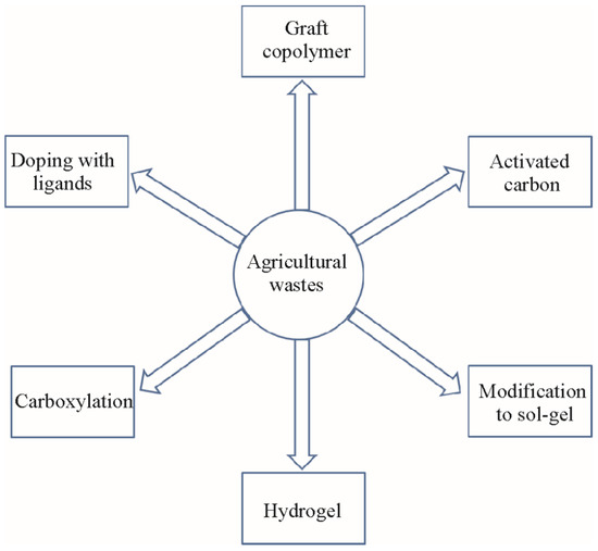 Agricultural Wastes as Renewable Biomass to Remediate Water Pollution