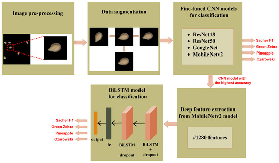Benchmarking of CNN Models and MobileNet-BiLSTM Approach to Classification of Tomato Seed Cultivars
