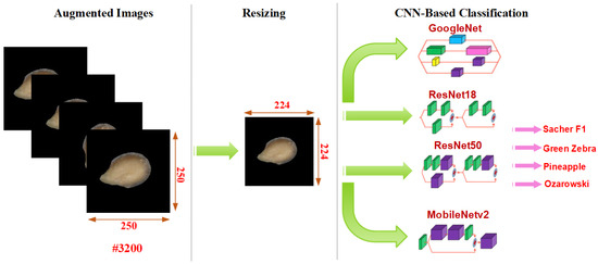 Benchmarking of CNN Models and MobileNet-BiLSTM Approach to Classification of Tomato Seed Cultivars