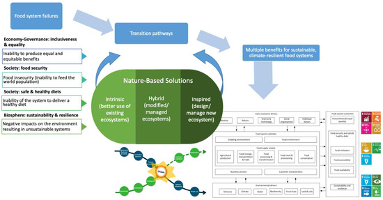 Nature-Based Solutions as Building Blocks for the Transition towards ...