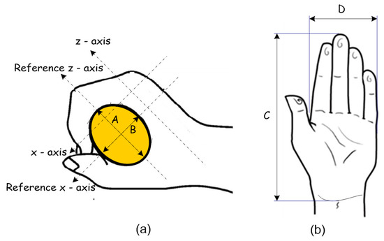Normative Data on the Maximum Twisting Force for an Elderly Person’s ...