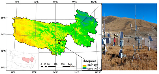 Gap Filling Method and Estimation of Net Ecosystem CO2 Exchange in Alpine Wetland of Qinghai ...