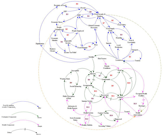 System Dynamics Modeling for Assessing the Impact of COVID-19 on Food ...