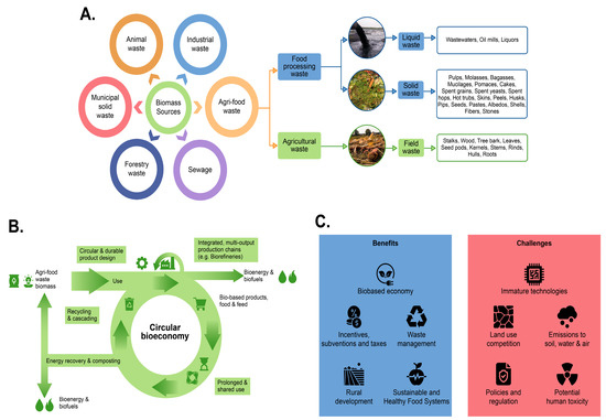 Sustainability | Free Full-Text | Integrating Multi-Criteria Techniques in Life-Cycle Tools for ...