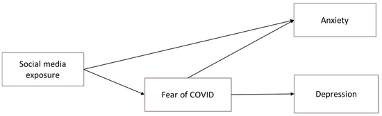 Empirical Study on Social Media Exposure and Fear as Drivers of Anxiety ...