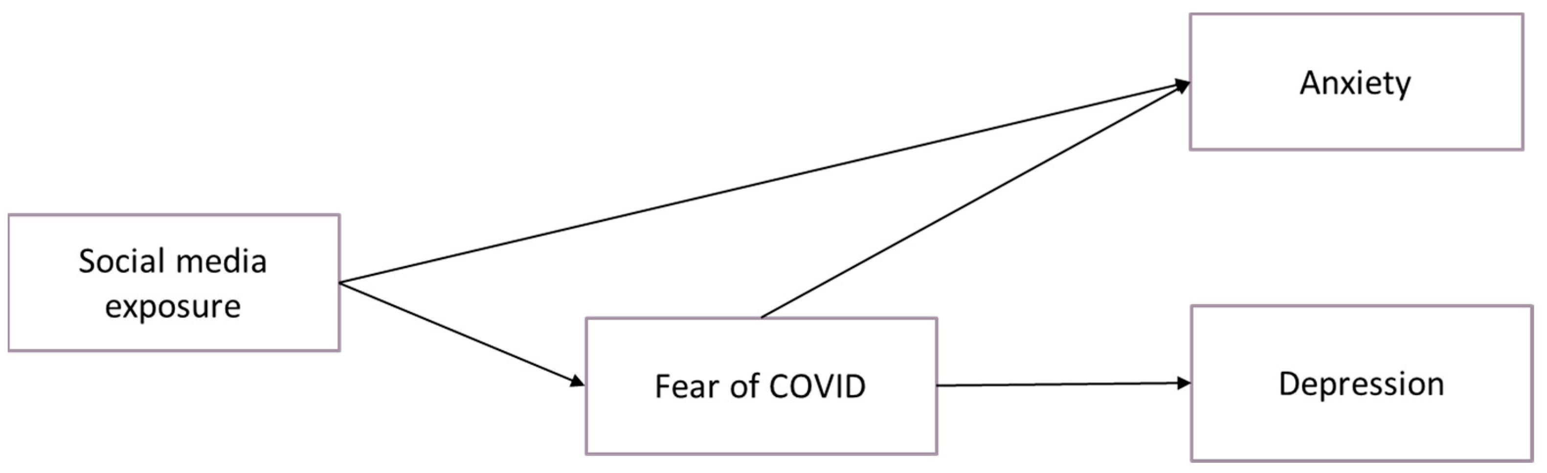 Empirical Study on Social Media Exposure and Fear as Drivers of Anxiety ...