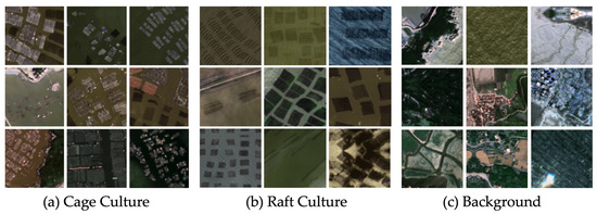 A Convolutional Neural Network for Coastal Aquaculture Extraction from ...