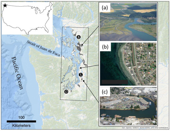A Data-Driven Approach for Assessing Sea Level Rise Vulnerability ...