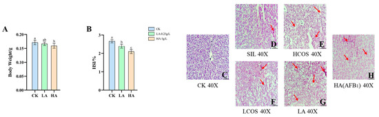 Sustainability | Free Full-Text | COS Attenuates AFB1-Induced Liver ...