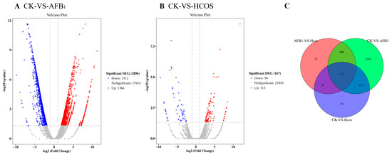Sustainability | Free Full-Text | COS Attenuates AFB1-Induced Liver ...