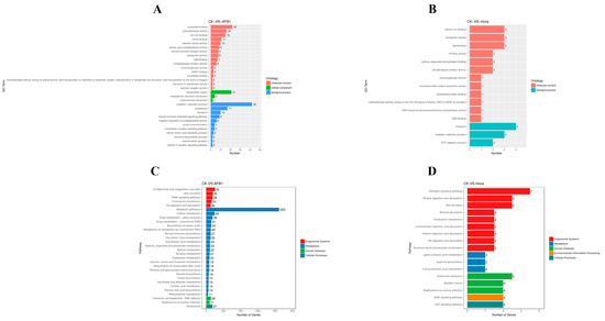 Sustainability | Free Full-Text | COS Attenuates AFB1-Induced Liver ...