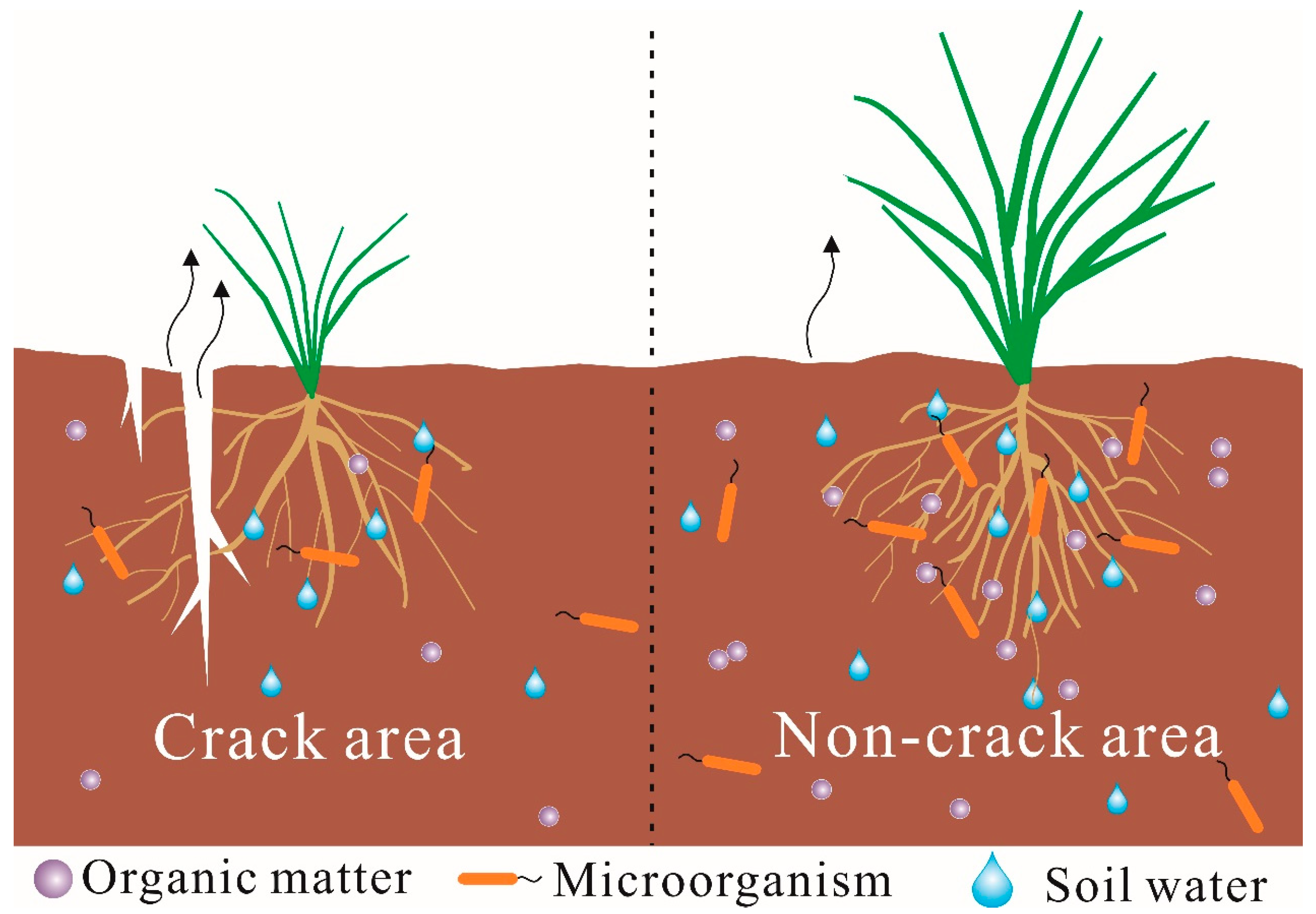 Influence of Different Mining Damage Types on Soil Erodibility in Coal ...