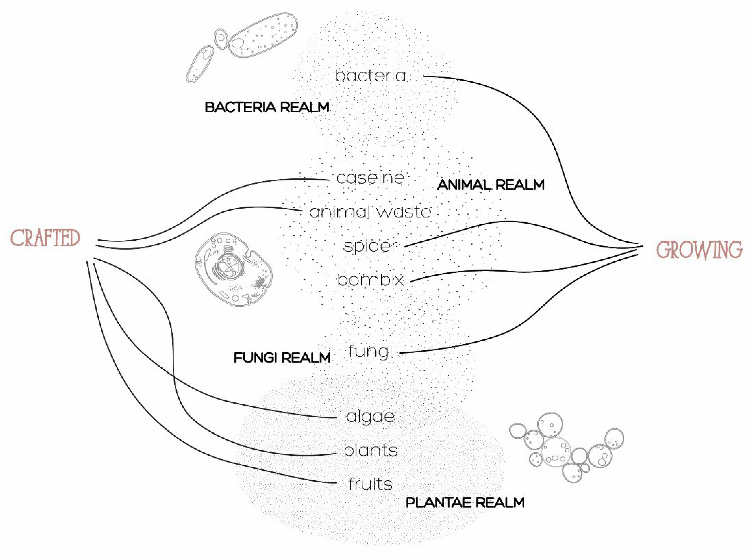 For a Coexistence with the More-Than-Human: Making Biomaterials from a ...