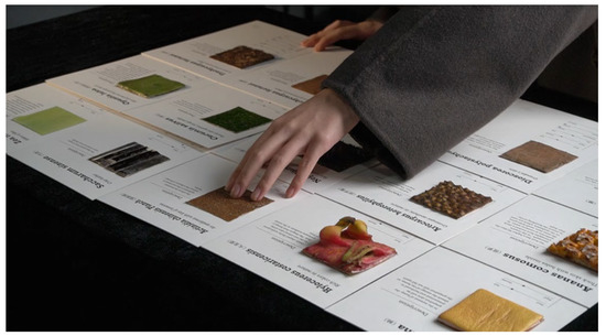 For a Coexistence with the More-Than-Human: Making Biomaterials from a ...