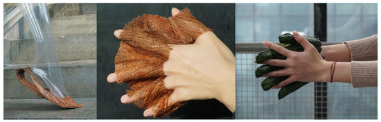 For a Coexistence with the More-Than-Human: Making Biomaterials from a ...