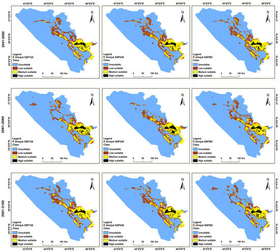 Mapping Impacts of Climate Change on the Distributions of Two Endemic ...