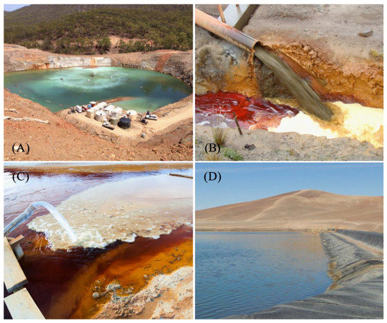 Biosorption of Heavy Metals with Algae: Critical Review of Its ...