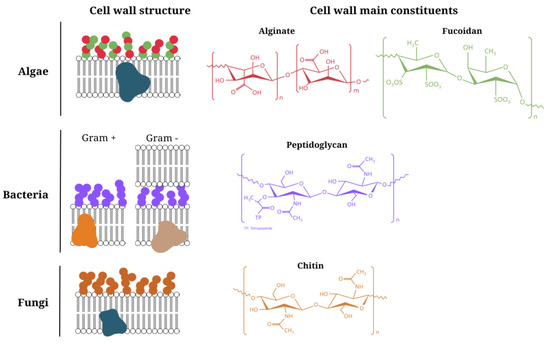 Sustainability | Free Full-Text | Biosorption of Heavy Metals with Algae: Critical Review of Its ...