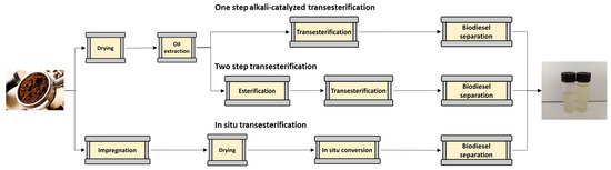 Integrated Approach to Spent Coffee Grounds Valorization in Biodiesel ...