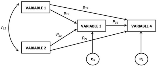 Walking for Sustainable Cities: Factors Affecting Users’ Willingness to ...