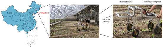 An Improved U-Net Model Based on Multi-Scale Input and Attention Mechanism: Application for ...