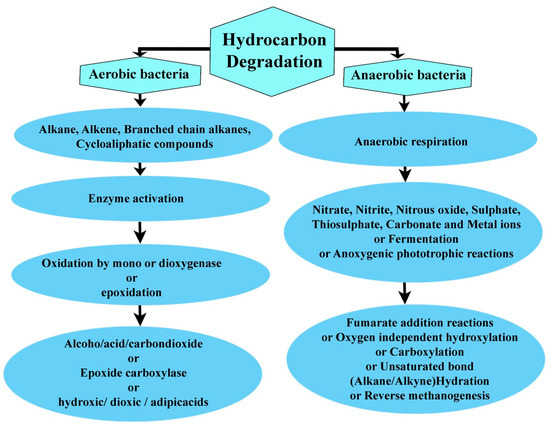 Bioremediation of Hydrocarbon Pollutants: Recent Promising Sustainable ...