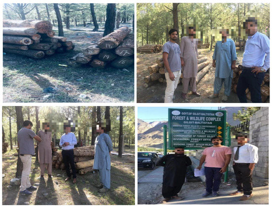 Evaluating the Socioeconomic Factors on Deforestation in Northern ...