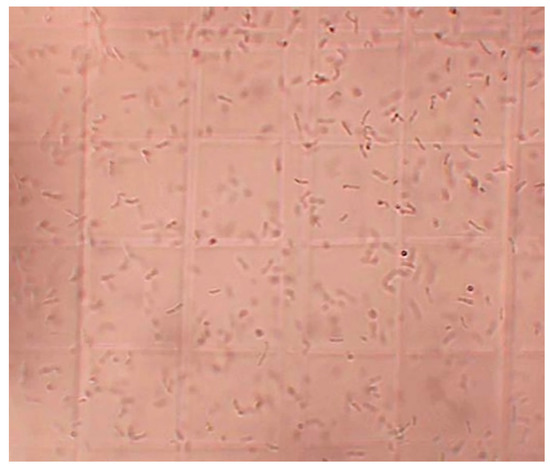 Using Electric Field to Improve the Effect of Microbial-Induced ...