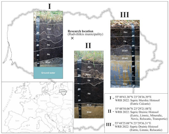 The Impact of Profile Genesis and Land Use of Histosol on Its Organic ...