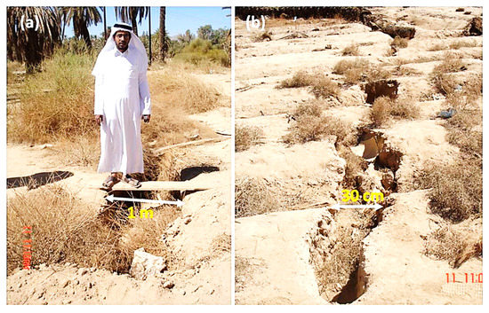 Understanding the Mechanisms of Earth Fissuring for Hazard Mitigation ...