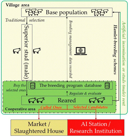 A Community-Based Breeding Program as a Genetic Resource Management ...