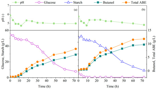 Feasibility of Efficient, Direct, Butanol Production from Food Waste ...