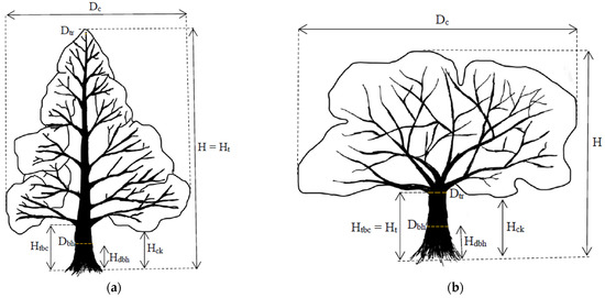 Structural Analysis of Self-Weight Loading Standing Trees to Determine ...