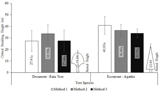 Structural Analysis of Self-Weight Loading Standing Trees to Determine ...