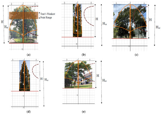 Structural Analysis of Self-Weight Loading Standing Trees to Determine ...