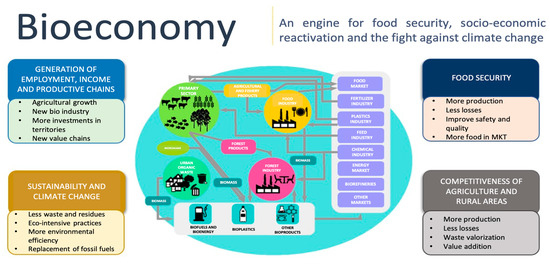 The Bioeconomy and Food Systems Transformation