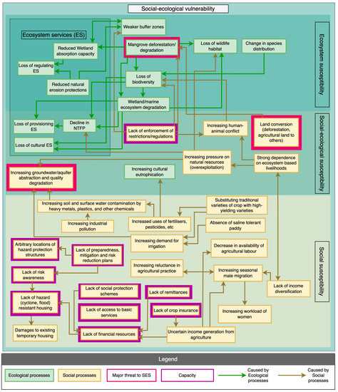 Sustainability | Free Full-Text | A Qualitative Assessment of Natural ...