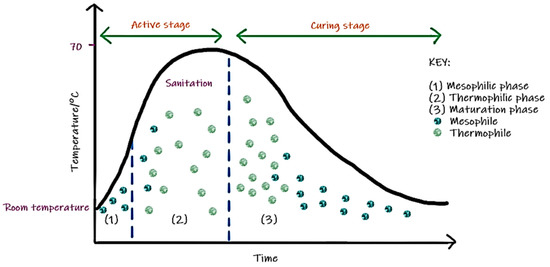 The Effect of Initial Carbon to Nitrogen Ratio on Kitchen Waste ...
