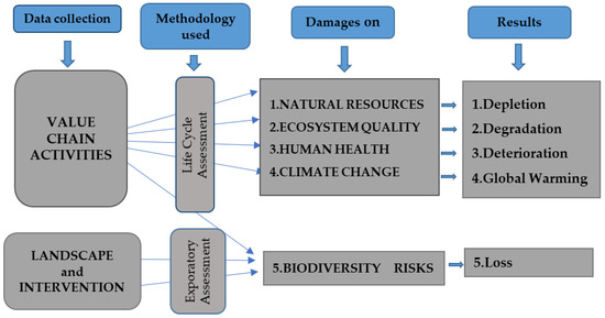 Case Study Analysis on Agri-Food Value Chain: A Guideline-Based Approach
