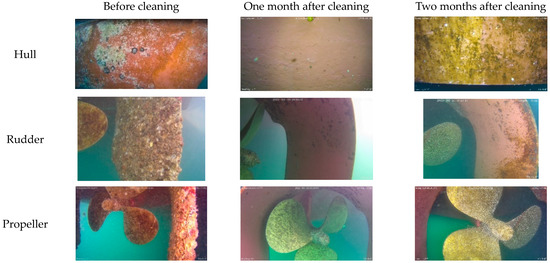 Preventative Biofouling Monitoring Technique for Sustainable Shipping