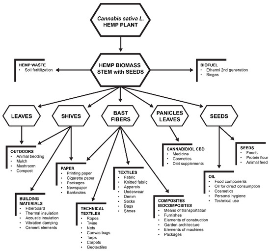 The Sustainability of Industrial Hemp: A Literature Review of Its ...