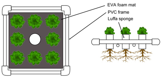 Nutrient Sequestration by Two Aquatic Macrophytes on Artificial ...